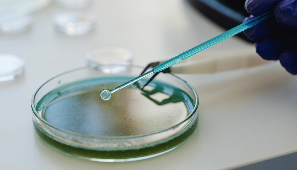 End-to-End Clinical Biostatistics Services | Biostatistics Outsourcing